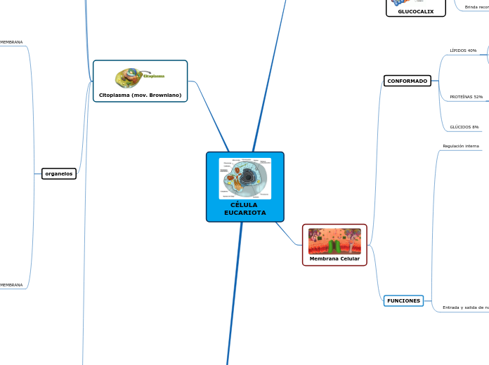 CÉLULA EUCARIOTA - Mind Map